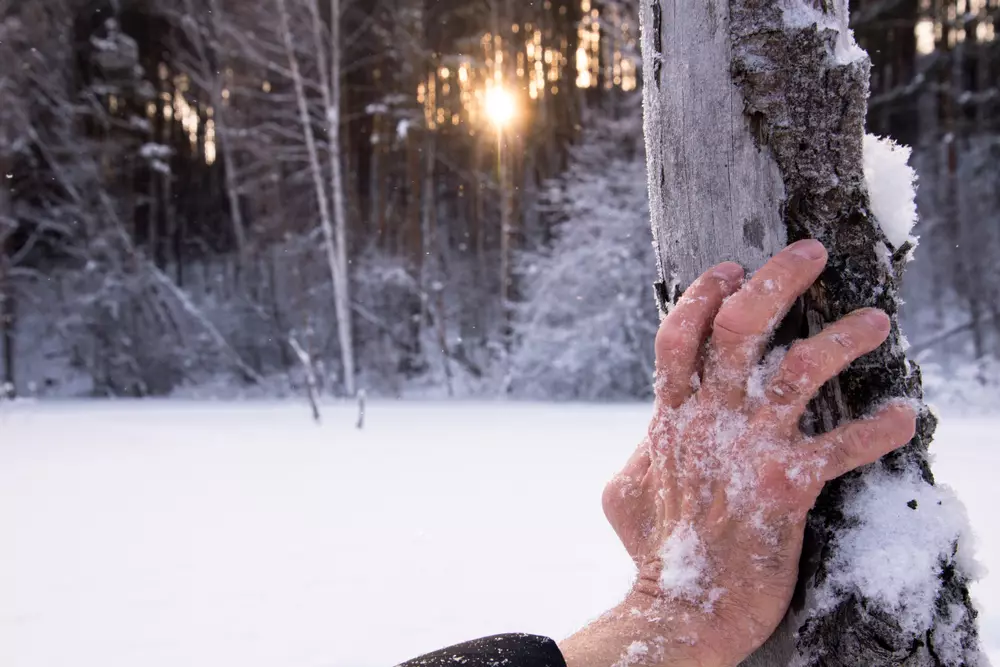 Microondas contra a conxelación: desenvolveuse un dispositivo único en Siberia