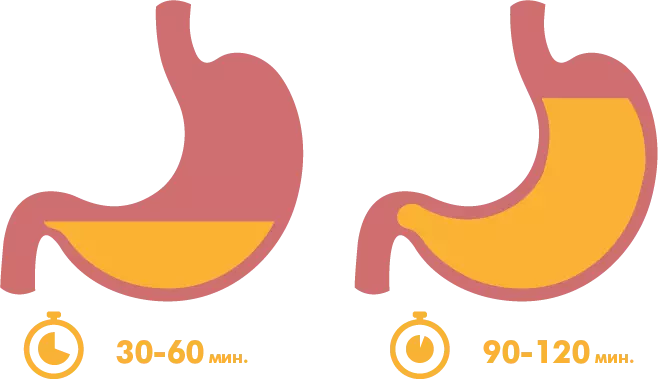 Hvordan er metabolismen av alkohol i kroppen - Offisielt nettsted for programmene 