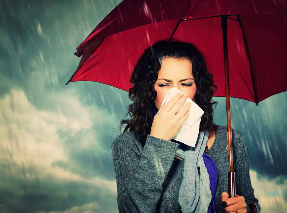 Schwung für die Grippe: Wechselhaftes Wetter erhöht das Risiko einer Epidemie 11444_1