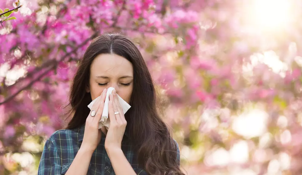 Spring Allergy: A Guide to Survival 11481_2