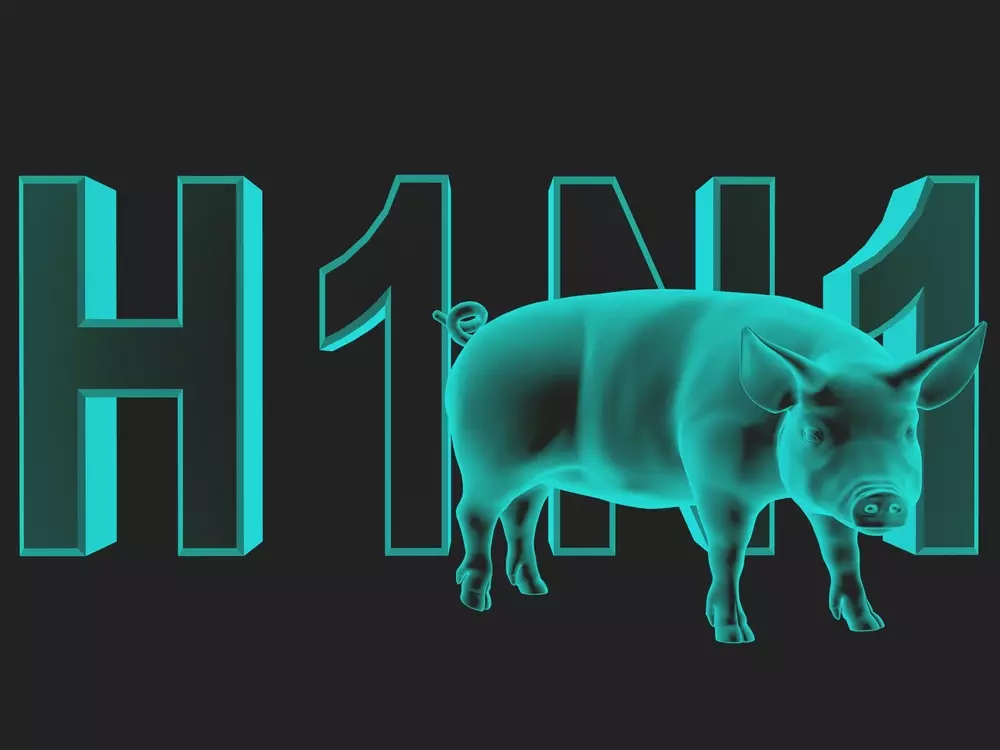 Scientists have discovered the threat of a swine flu pandemic