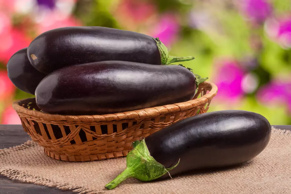 Mabaka a 8 a ho kenyelletsa eggplant lijong tsa hau