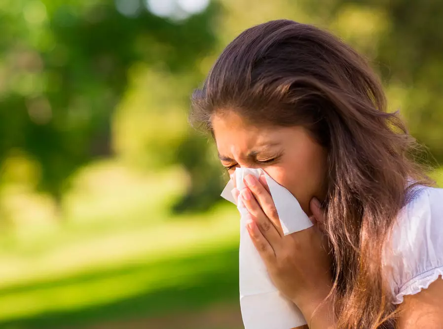 10 най -чести причини за алергии 12037_1