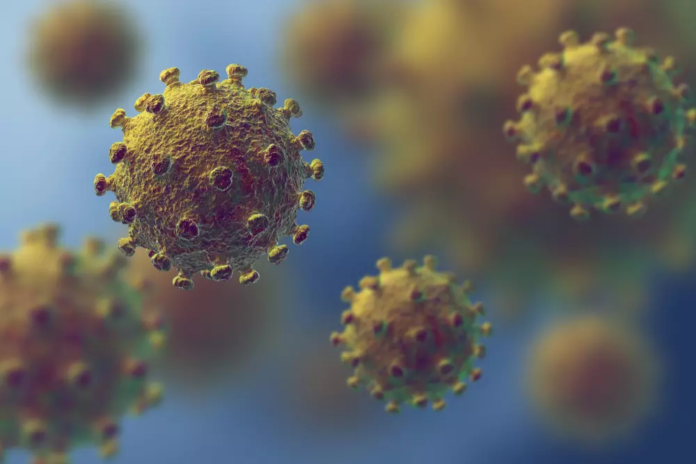 Coronavirus i luften: WHO medger möjligheten att smitta med COVID-19 genom andning 12126_2