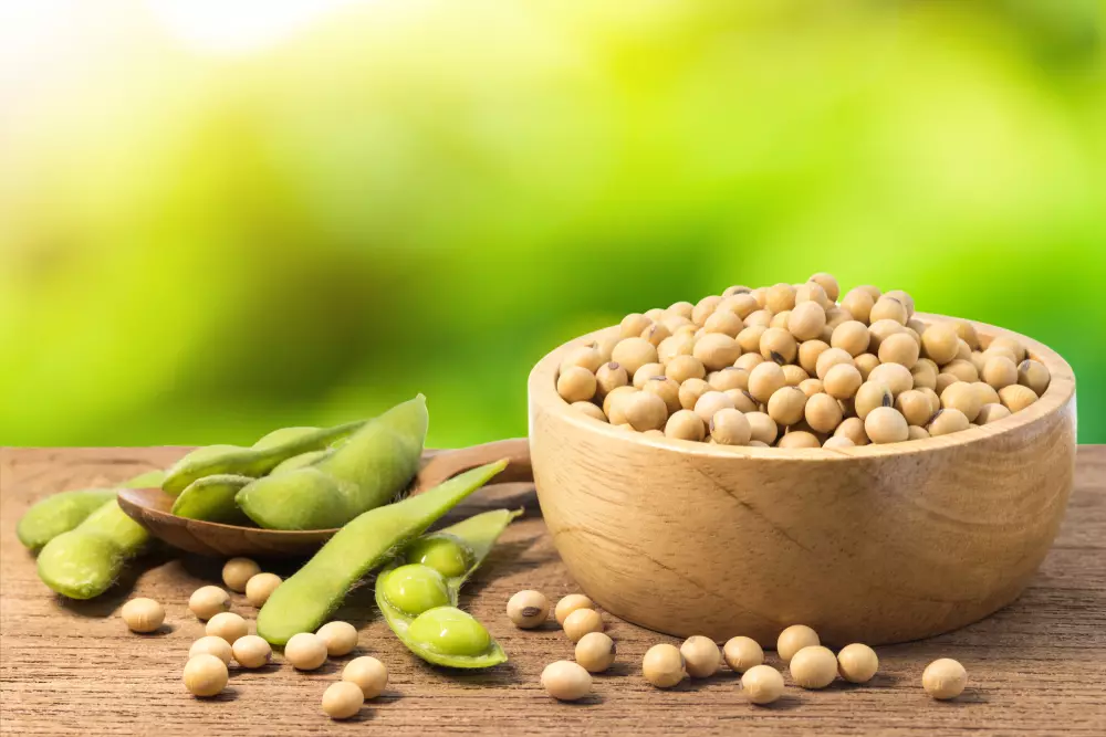Kacang, lentil, kacang polong, atanapi Kacang Kedelai: mana anu legum paling séhat? 12188_4