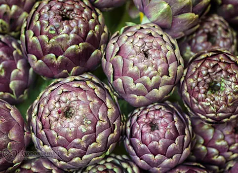 Celery and artichoke kill cancer cells! How much to eat