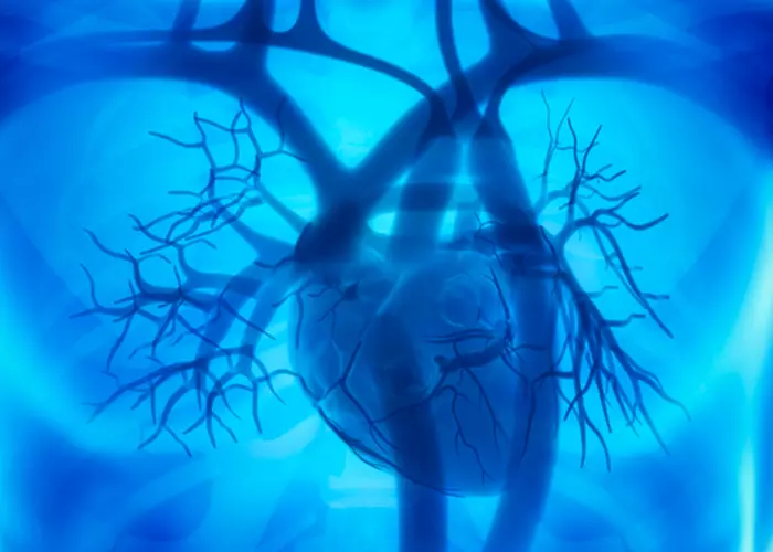 Prevalencia de la enfermedad del hígado graso no alcohólico en pacientes con enfermedad de las arterias coronarias 12446_2