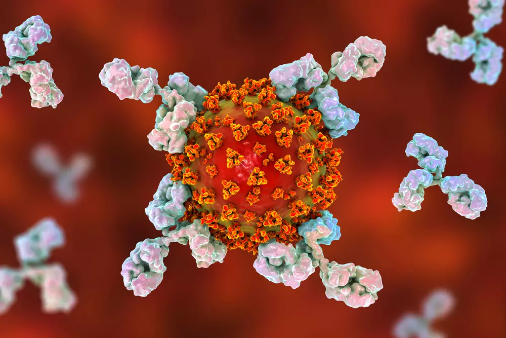 Den chéad uair sa Rúis, fuarthas antasubstaintí a neodraíonn coronavirus