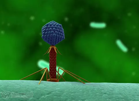 bacteriophage ແມ່ນຫຍັງ