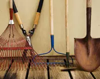 Entraînement physique au jardin et sur le site