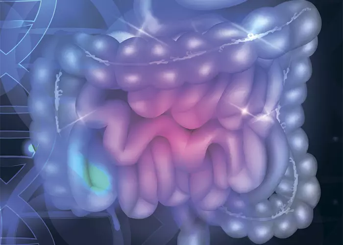 Muqueuse intestinale - la principale ligne de défense de la santé gastro-intestinale 377_1