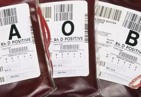 Raccolta di sangue e gruppi sanguigni 4150_1