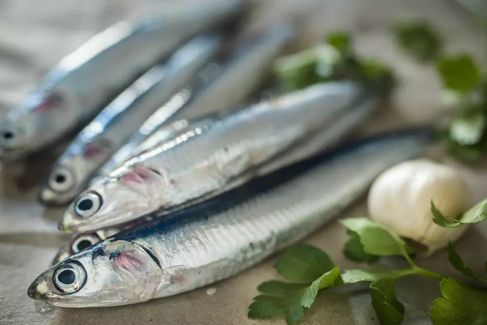 Peixes do sur: como é útil a anchoa do Mar Negro? 415_1