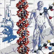 Genetici řekli v boji proti zločinu mocné slovo 4435_2