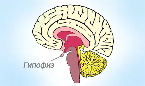 Пролактином: дијагноза и лечење