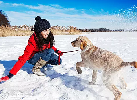 Kûçik dikarin bêhna penceşêrê bistînin! Wê hingê pêdivî ye ku ez bêm ceribandin?