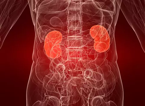 Vacina contra o câncer renal inventada