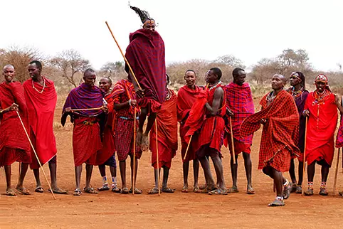 Ko maAboriginal sneakers anokubatsira iwe kurasikirwa uremu?