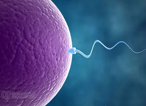 Sperma beku bakal nyalametkeun anjeun tina subur