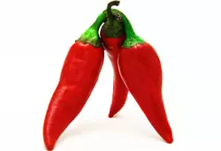 Der Schmerz wird gelindert ... scharfe Paprika 5515_5