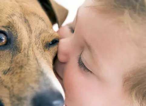 S'il y a un chien à la maison, les enfants tombent moins souvent malades !