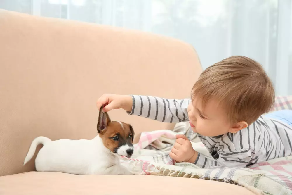 Babypflege: Die 5 häufigsten Fehler, die frischgebackene Eltern machen 5713_2