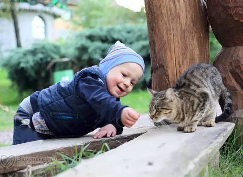 猫屎害死孩子！该怎么办？