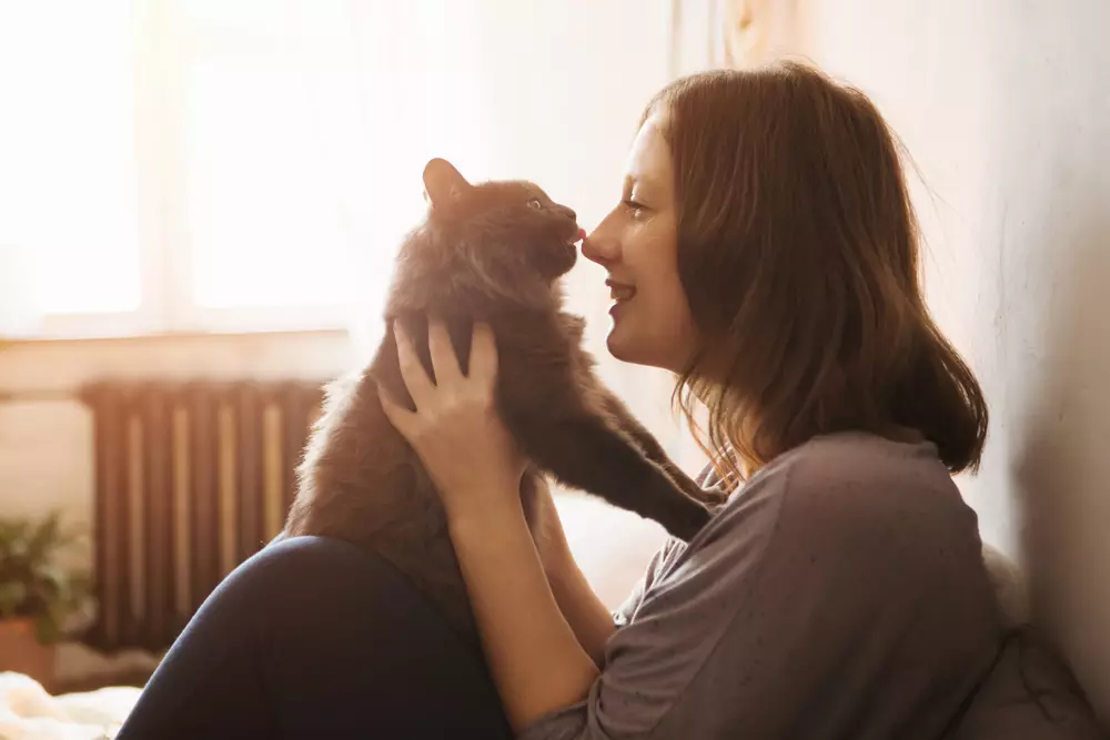 Danish scientists: cat lovers are more likely to suffer from schizophrenia 5957_1