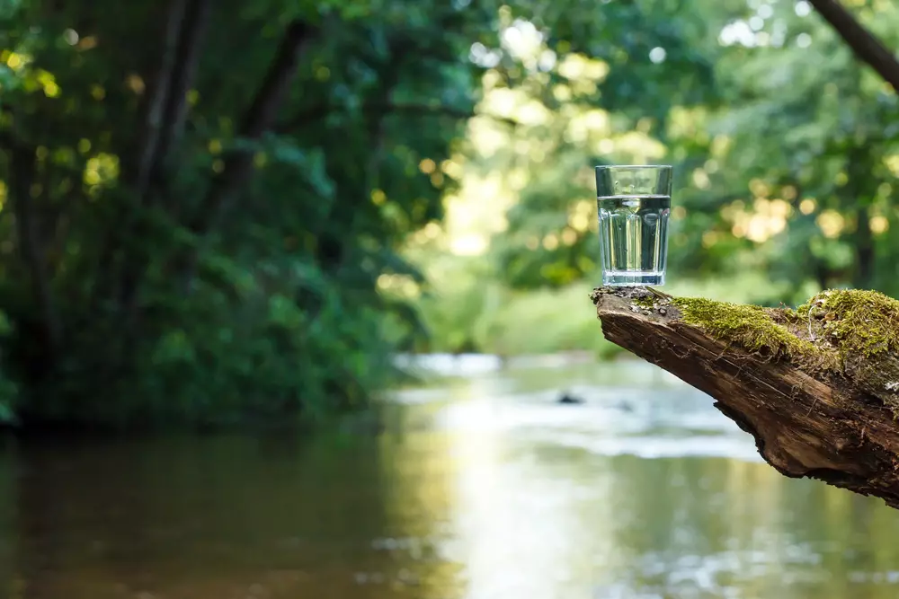 Voordeel of nadeel: is het de moeite waard om mineraalwater te drinken? 6432_1