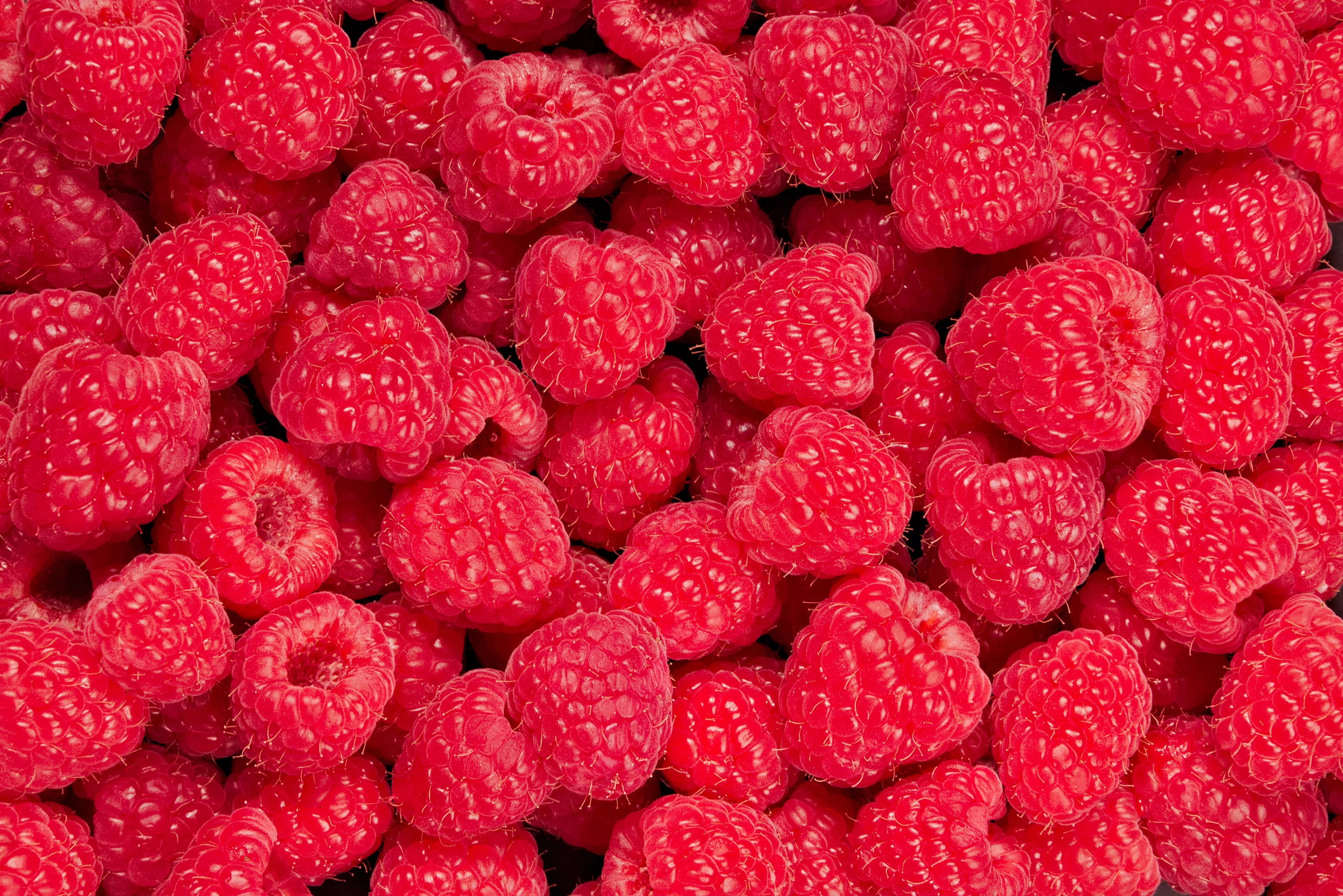 Raspberry: naha éta ngabantosan pilek?