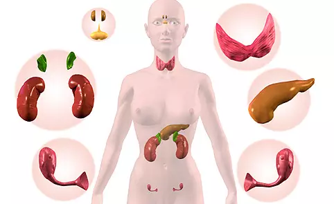 Hyperparathyroidism: hom