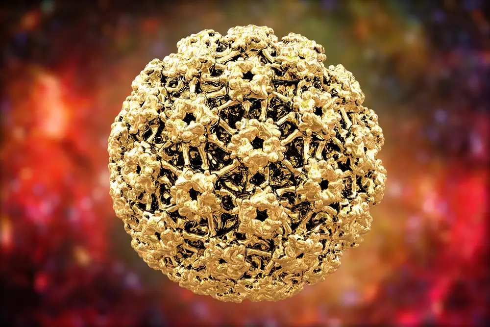 כיצד קשורים וירוס הפפילומה האנושי וסרטן 7112_1