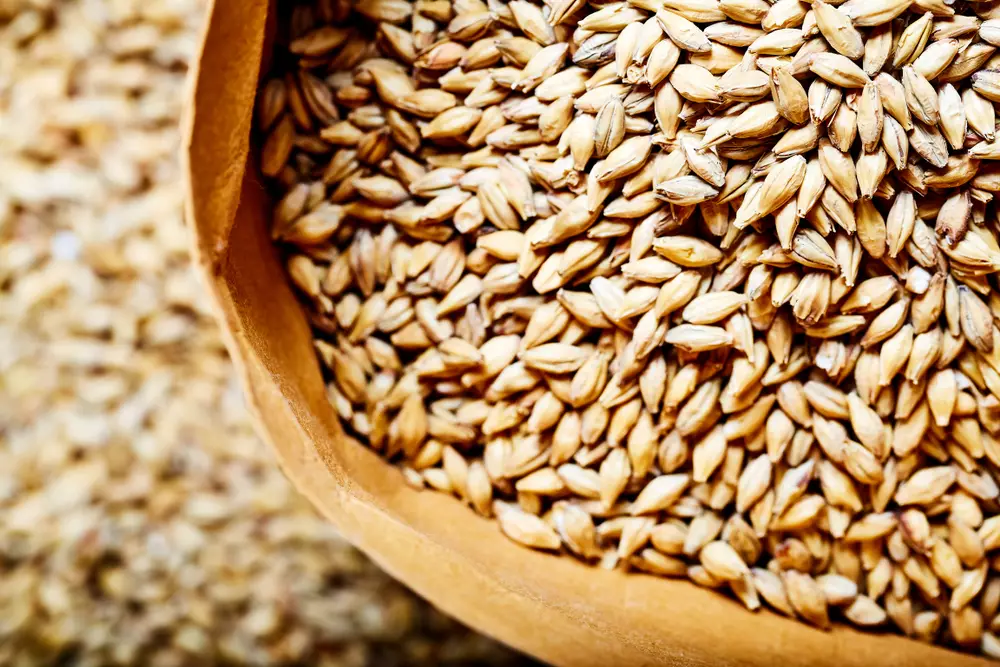 Mga barley groats: maximum na benepisyo para sa mga taong may diabetes at labis na timbang 7138_1