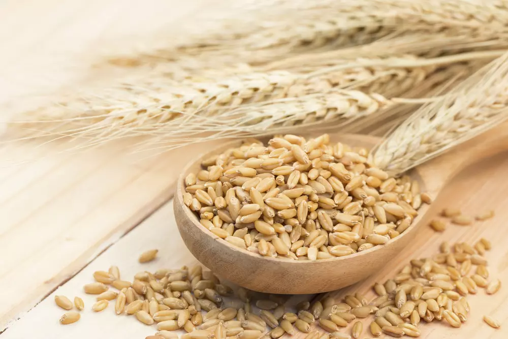 Mga barley groats: maximum na benepisyo para sa mga taong may diabetes at labis na timbang 7138_3