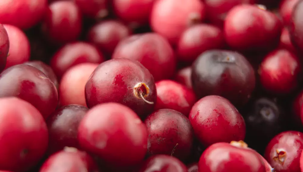 Against covid and not only: how cranberries are really useful 7284_3