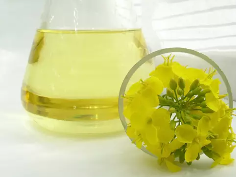 Rapeseed oil is the best product for women 7311_1