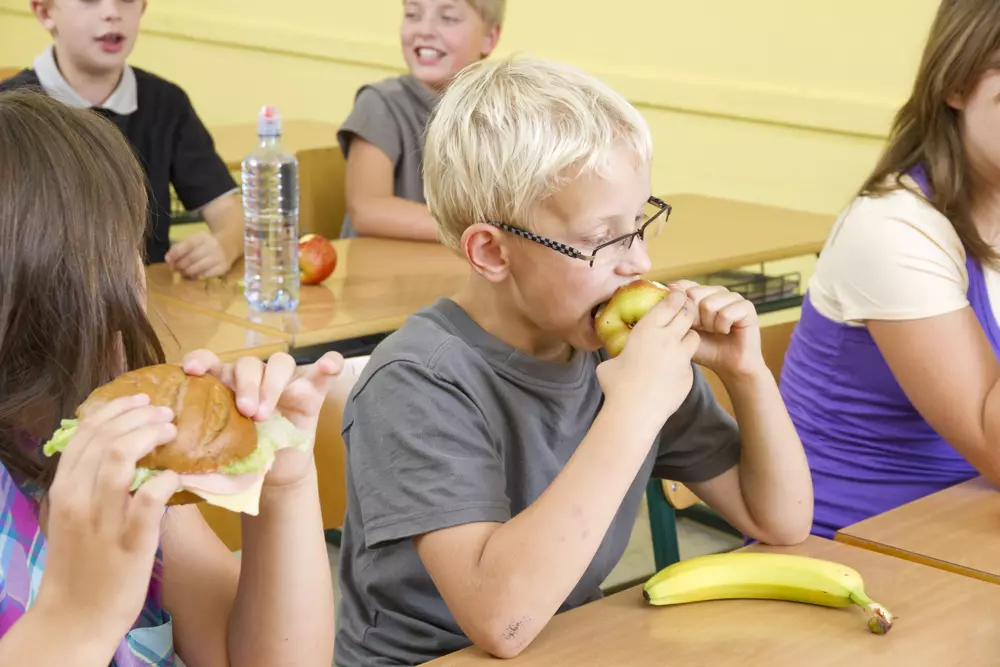 Sunde og usunde snacks: hvad skal du give dit barn i skole? 7845_2