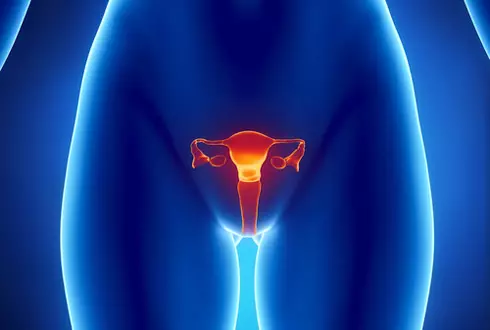 endometrial ကင်ဆာ