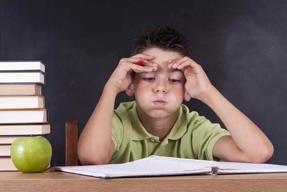 Yli 60% vanhemmista kokee stressiä, koska lapsi meni kouluun 7923_3