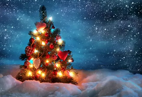 Albero di Natale fatto di qualsiasi cosa 7958_1