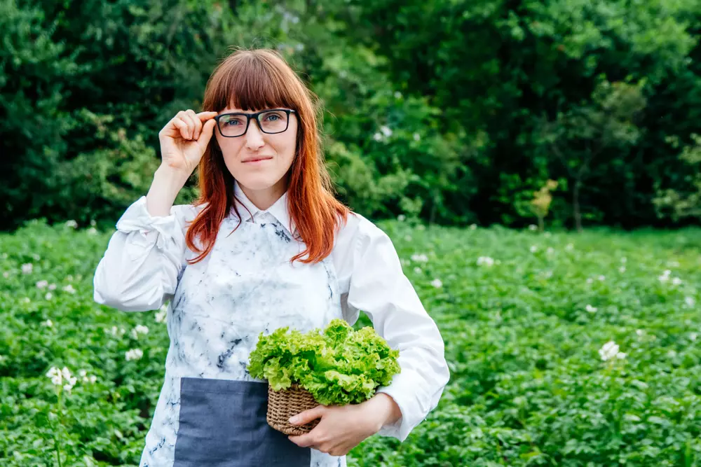 Grønkålskål: Hvordan er den nye superfood god for dig? 7967_1