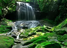 ¿Está limpia el agua del manantial?