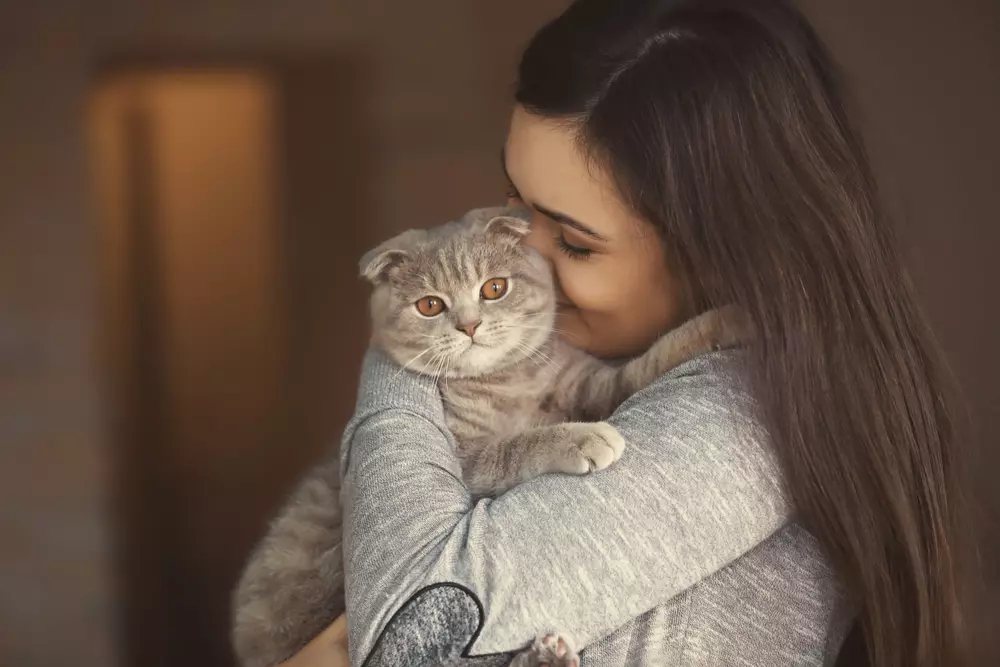 9 výhod terapie mačkami: ako chlpatí priatelia zachraňujú naše zdravie