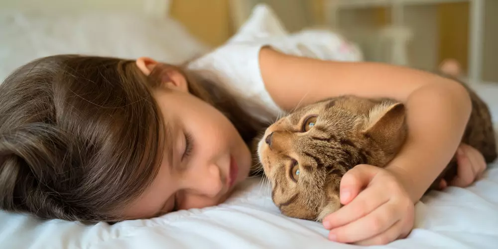 猫療法の9つの利点：毛皮で覆われた友人が私たちの健康をどのように救うか 81235_4