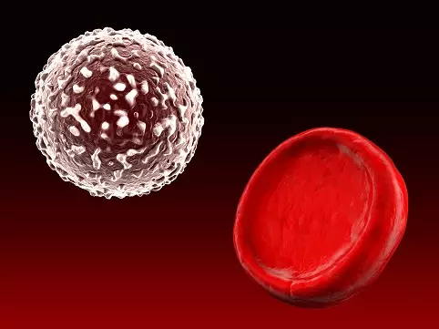 An t-imoibriú chun leukocyte myeloperoxidase a chinneadh - treoir ar mhodhanna diagnóiseacha