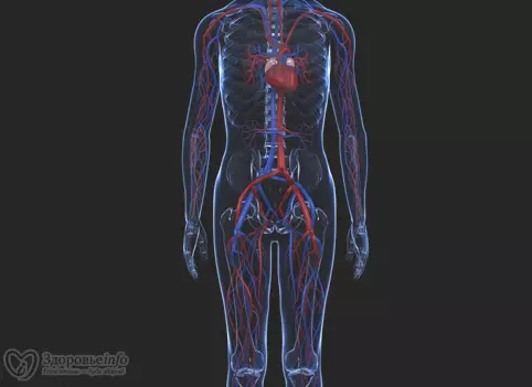 Phlebography သို့မဟုတ် venography - ရောဂါရှာဖွေနည်းလမ်းများအတွက်လမ်းညွှန်