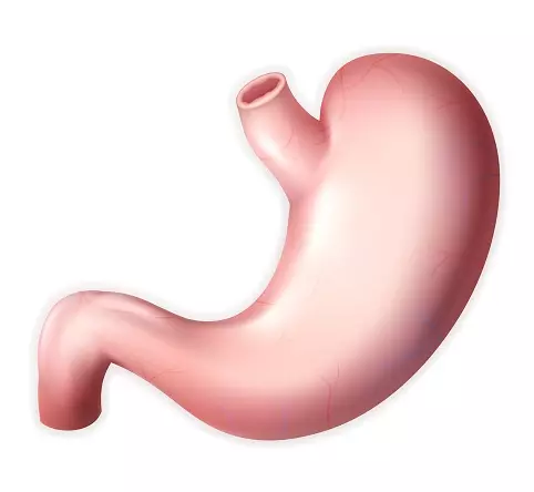 Antroduodenal manometriya - diagnostika usullari uchun qo'llanma