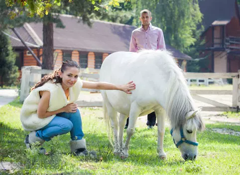 Wachten op een prins op een wit paard - ERROR!