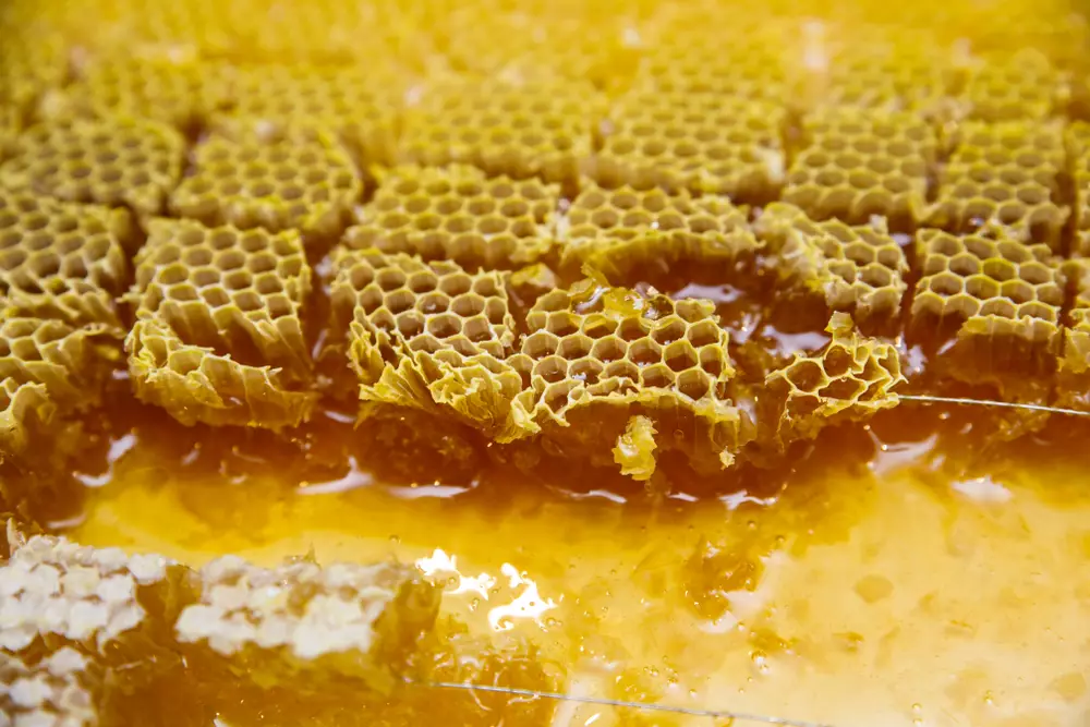 Rospotrebnadzorによる研究：蜂蜜は何でできており、それはどれほど有用ですか？ 8812_3