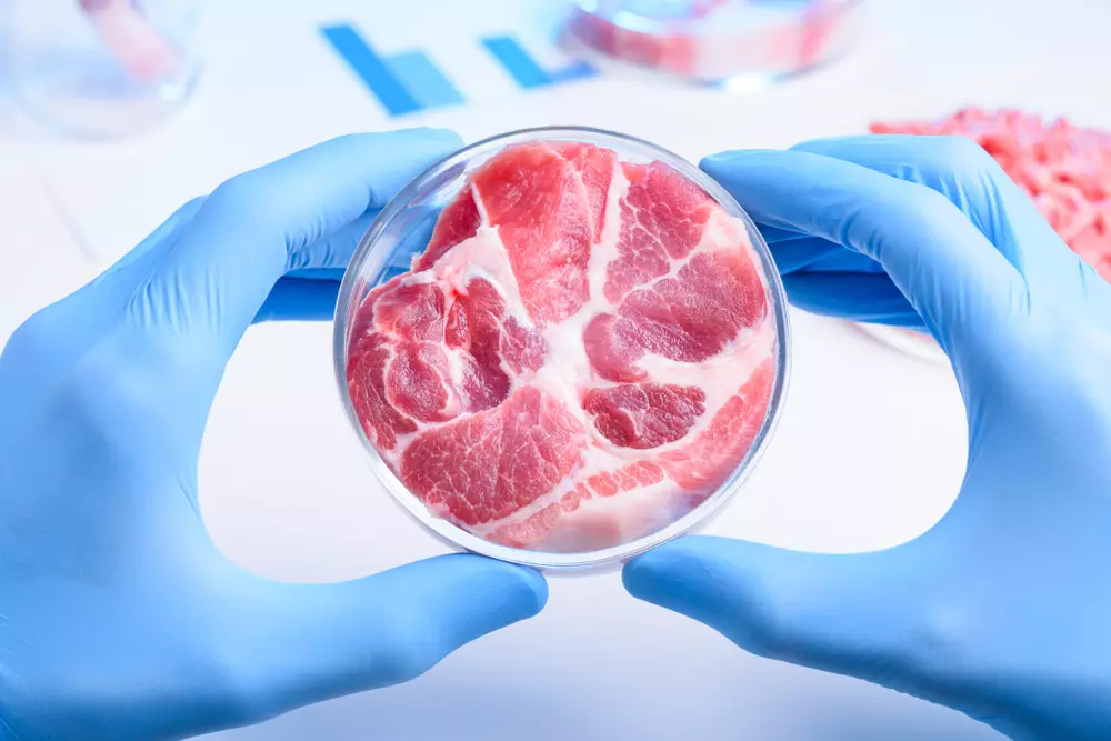 Alimentos del futuro: ¿la carne de origen vegetal se volverá más popular que la animal? 9757_1